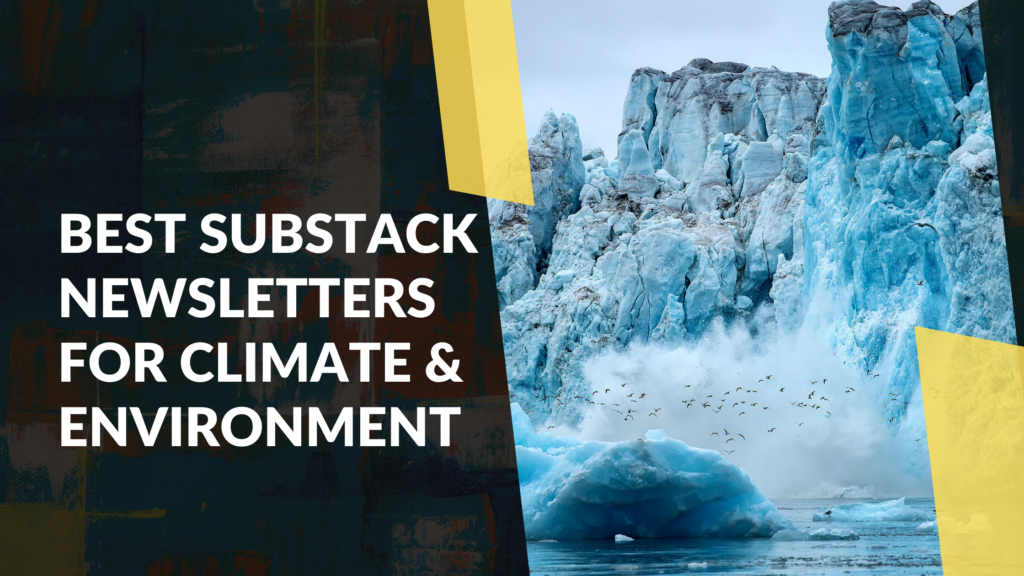 Best Substack Newsletters for Writers - Substack Course